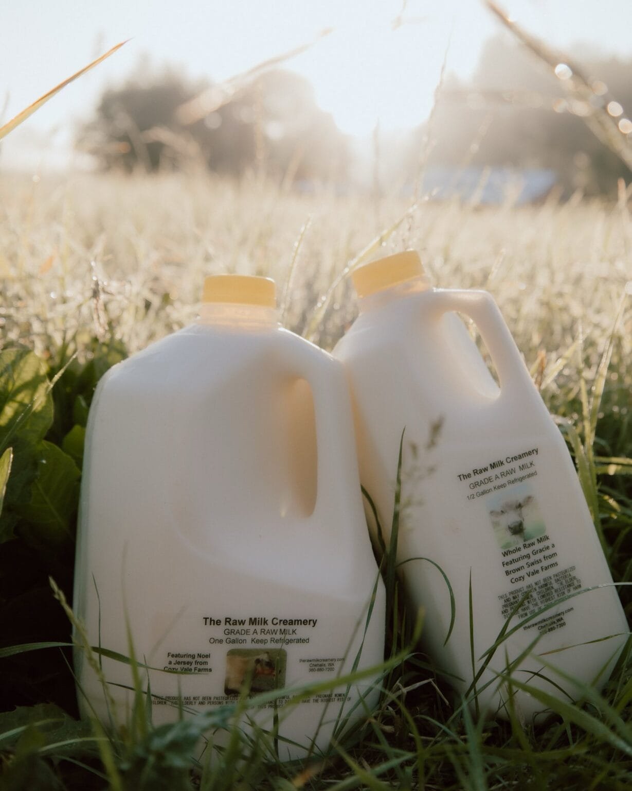 Find Raw Milk Near You | Verified Farm Directory & Map